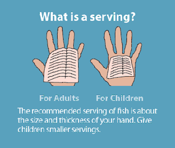 portion control | Skinny-Rules